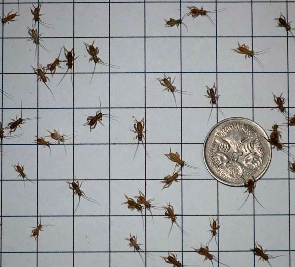 301 Moved Permanently