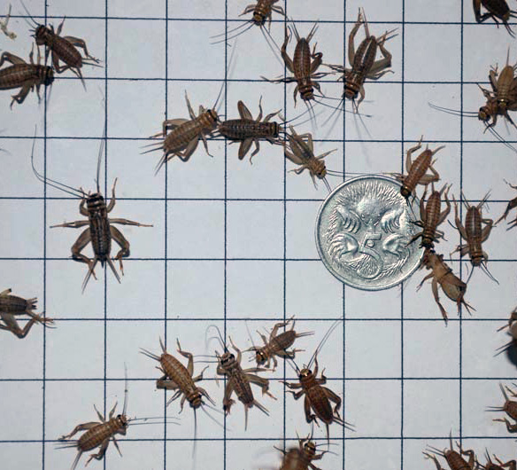 301 Moved Permanently